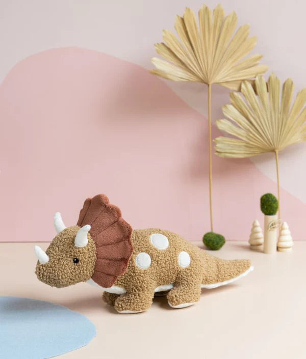 Thomas the Triceratops – Rosalyn + Rae