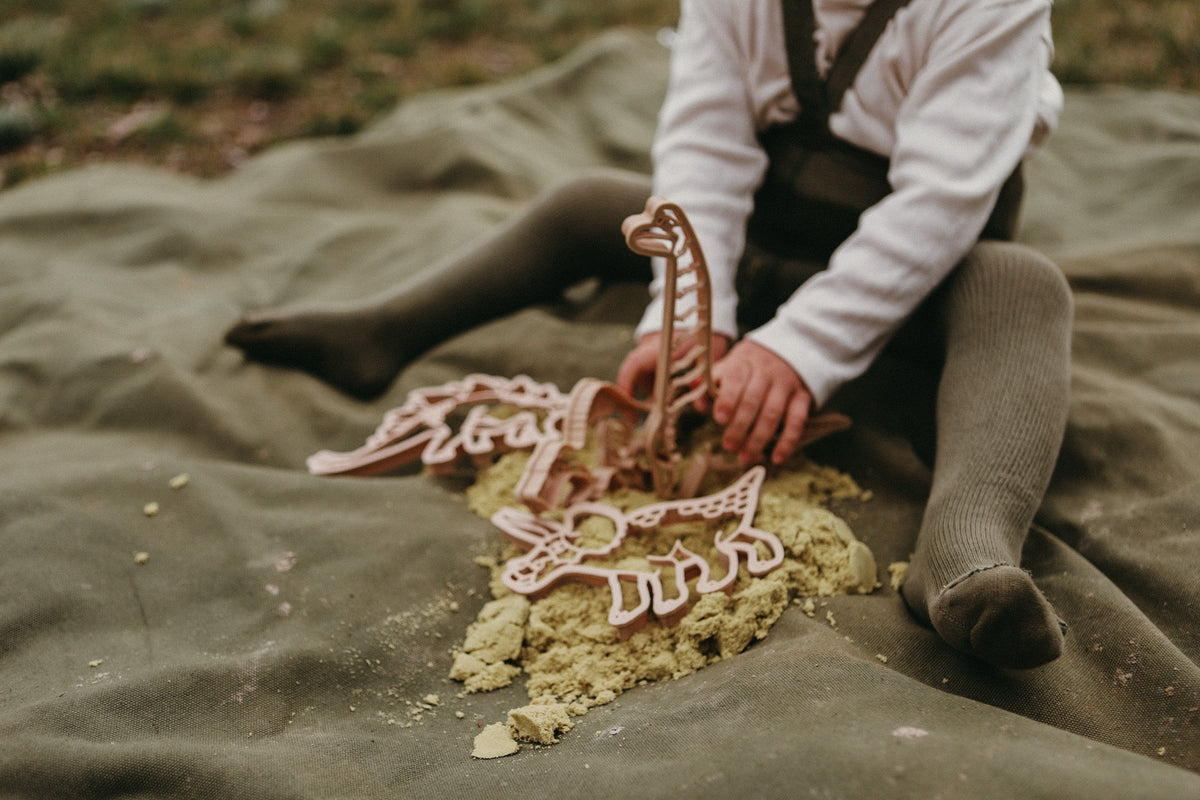 Triceratops Dino Eco Cutter – Rosalyn + Rae